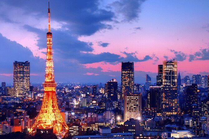 Tokyo 10 Hour Imperial Palace & Skytree & Akihabara Private Tour - Who This Tour Is Best For
