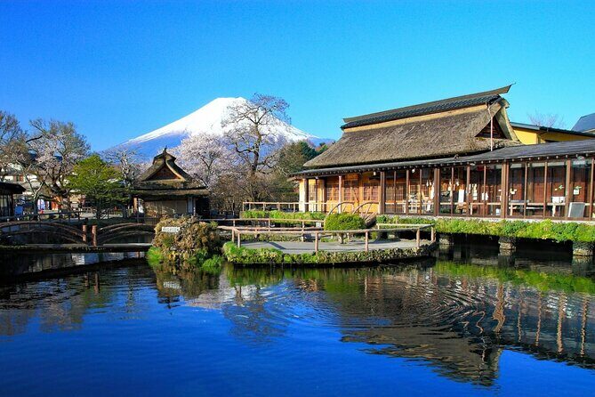 Tokyo: 10-hour Mount Fuji Private Customizable Day Tour - Who This Tour Is Best For