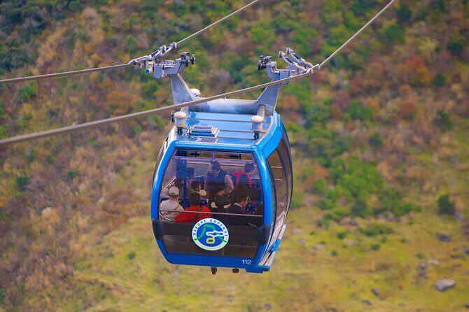Tokyo 10-Hour Mt. Fuji & Hakone Lake Ashi Cruise & Ropeway Tour - A Detailed Look at the Tour Itinerary