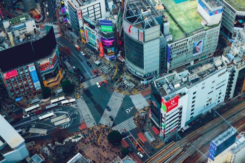 Tokyo: 2-Day Private Tour Tokyo City & Mt. Fuji or Hakone. - A Deep Dive into the Experience