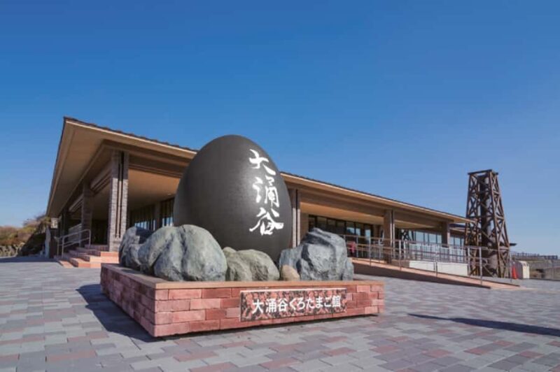 Tokyo: 3-Day Tea-Picking and Surfing in Shizuoka - Wrap-up: Is This Tour Worth It?