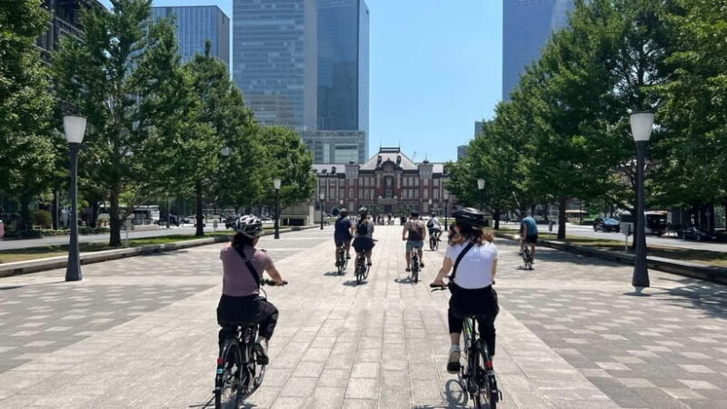 Tokyo: 3-hour Guided E-Bike Tour of the City's Hidden Gems - Key Points