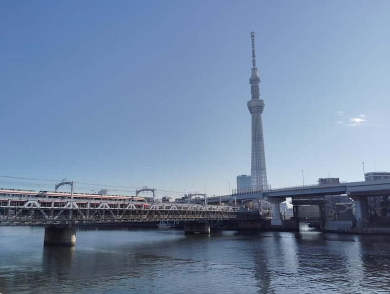 Tokyo: 3 Towers Tour  A Sky-High View of the City - In-Depth Review: Why Youll Love It
