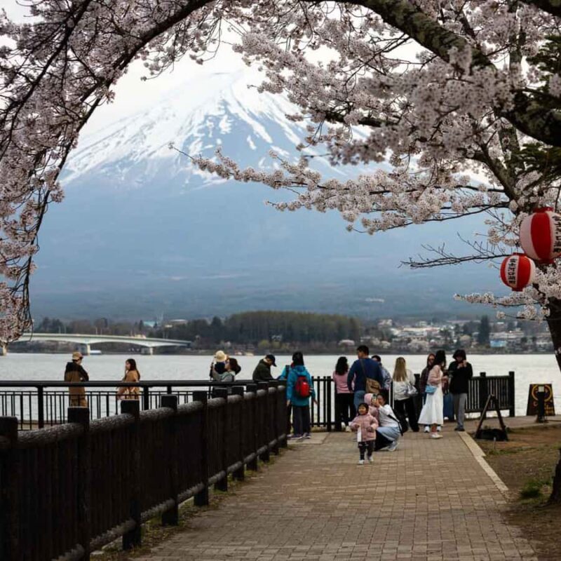 Tokyo: 4-Day Private Tour Nikko, Nagano, Mount Fuji & Tokyo - Who Will Enjoy This Tour?