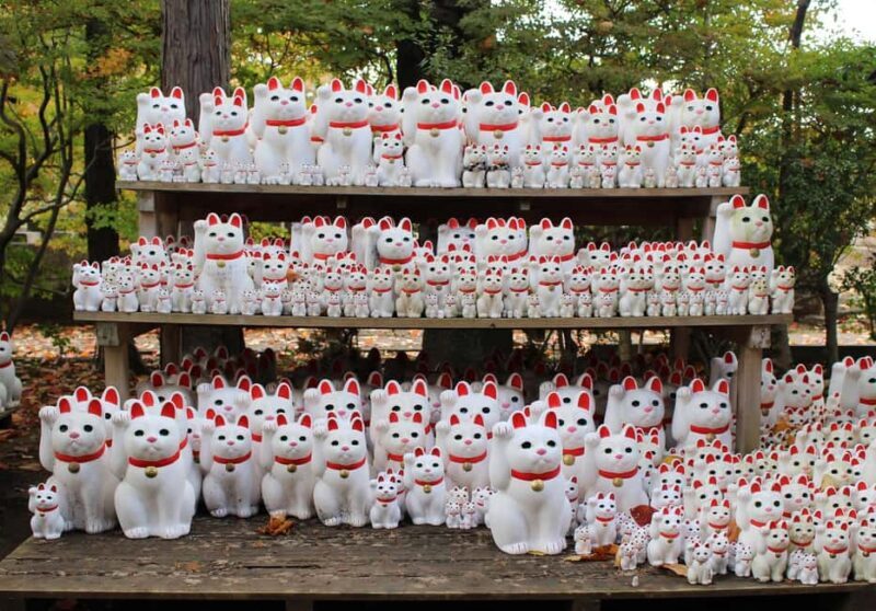 Tokyo: 4-Hour Gotokuji and Shimokitazawa Walking Tour - FAQs