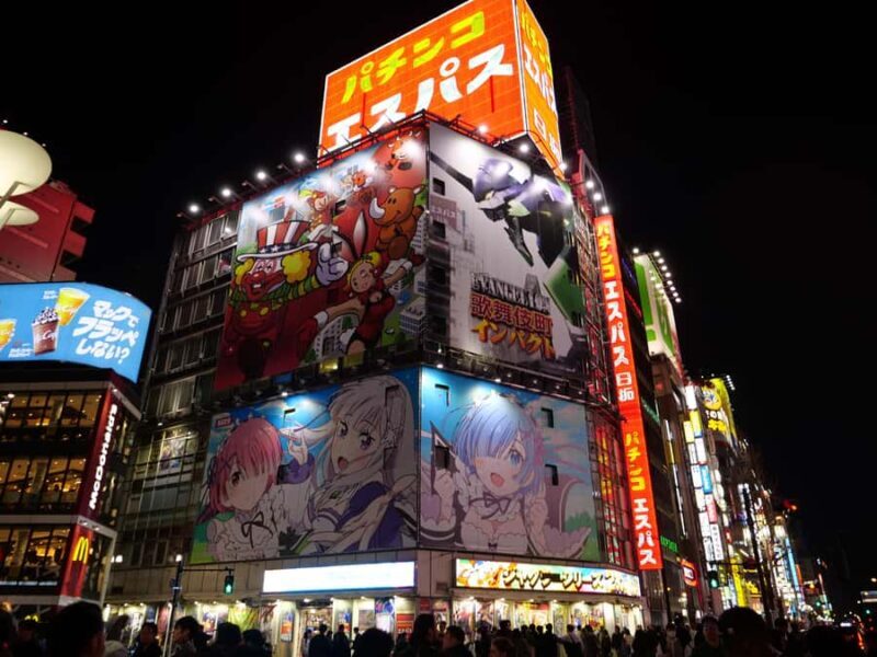 Tokyo: 4 Hours Shibuya - Shinjuku Night Tour - Final Thoughts: Who Is This Tour For?