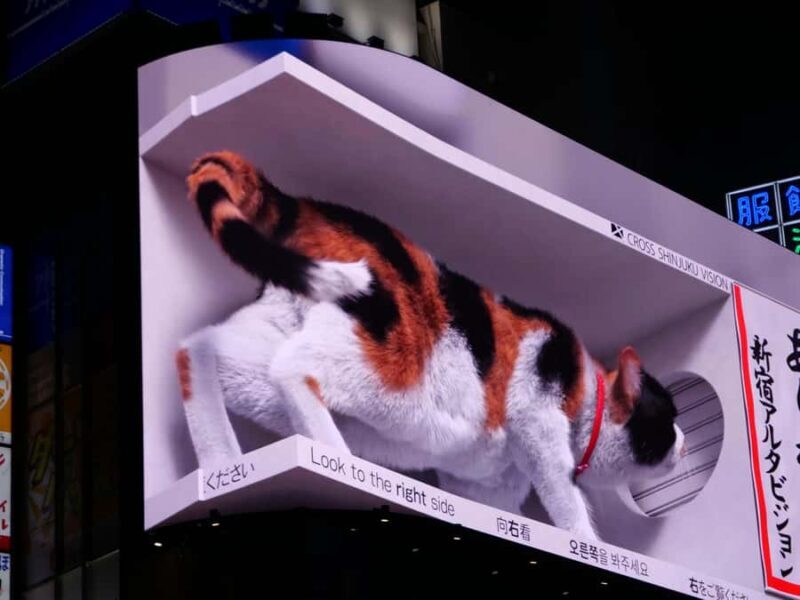 Tokyo: 4 Hours Shibuya - Shinjuku Night Tour - FAQ