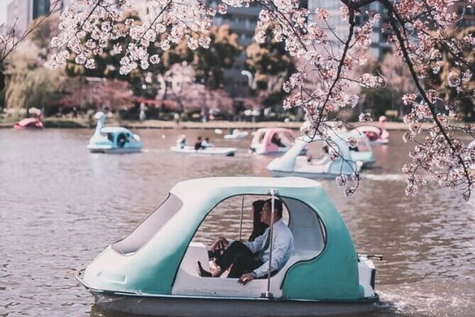 Tokyo 5hr Private Guided Tour & Calligraphy Experience - Authenticity and Practicality: What You Really Gain