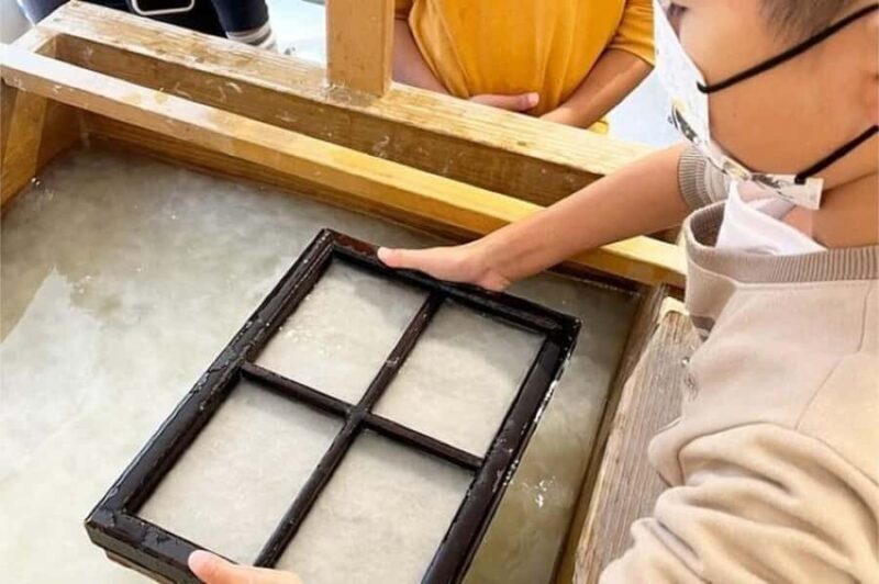 Tokyo 5hr Private Guided Tour & Washi Papermaking - A Balanced Look at the Tour: What to Expect