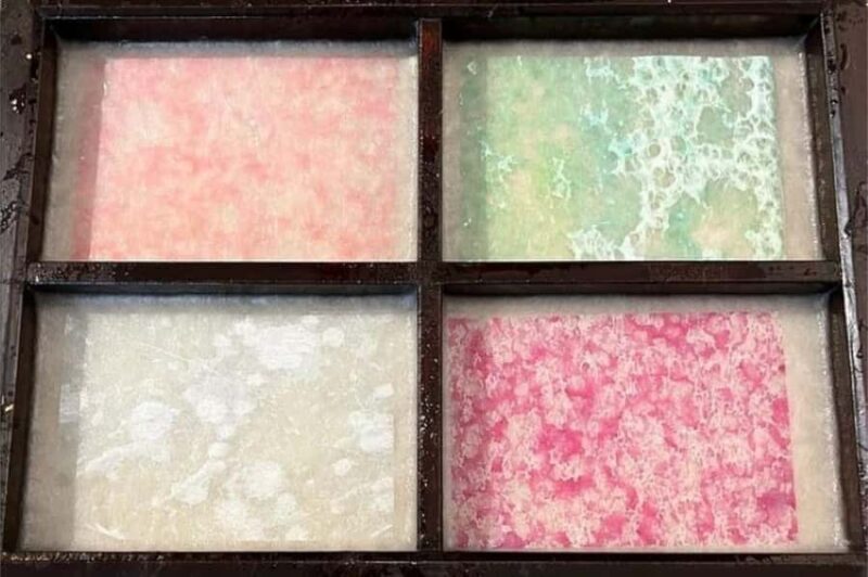 Tokyo 5hr Private Guided Tour & Washi Papermaking - The Itinerary in Detail