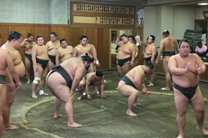 Tokyo 5hr Private Tour & Sumo Wrestler Morning Practice Viewing - Introduction