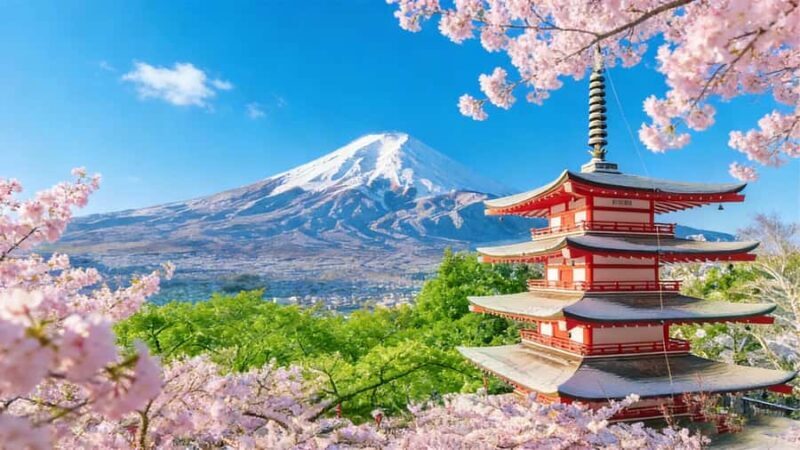 Tokyo 6 Top Spots: Yamanakako, Oshino Hakkai, Oishi Park - A Day with Mount Fuji: A Detailed Breakdown