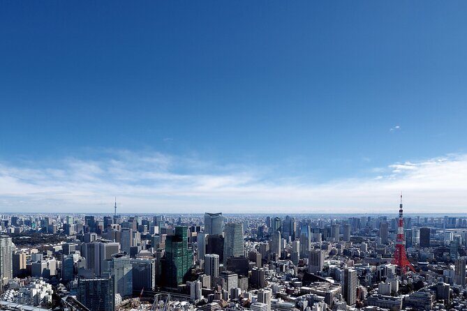 Tokyo 6hr Instagram Highlights Private Tour with Licensed Guide - FAQ