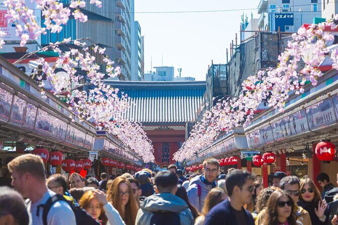 Tokyo 6hr Private Guided Tour & Pottery Making Experience - Practical Details & Considerations