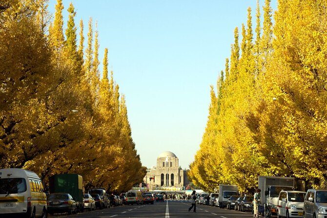 Tokyo 7-Hour Free Choice Tour - Who Should Consider This Tour?