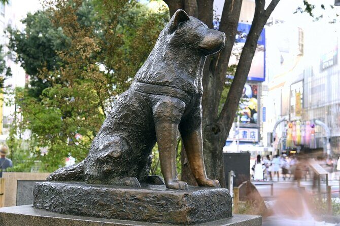 Tokyo 7-Hour Free Choice Tour - FAQs