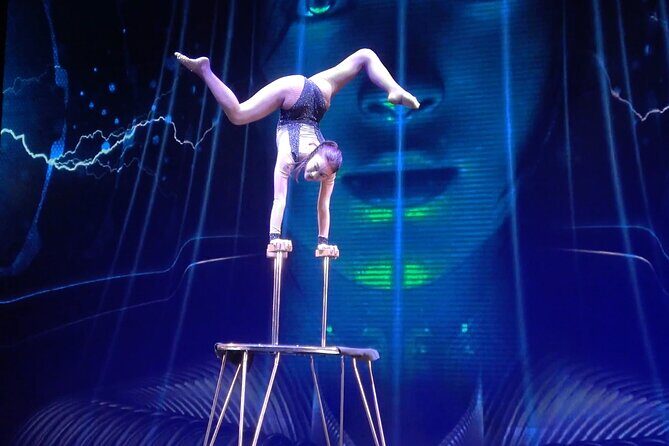 Tokyo 7hr Private Guided Tour and Night Out Variety Act Show - Final Thoughts