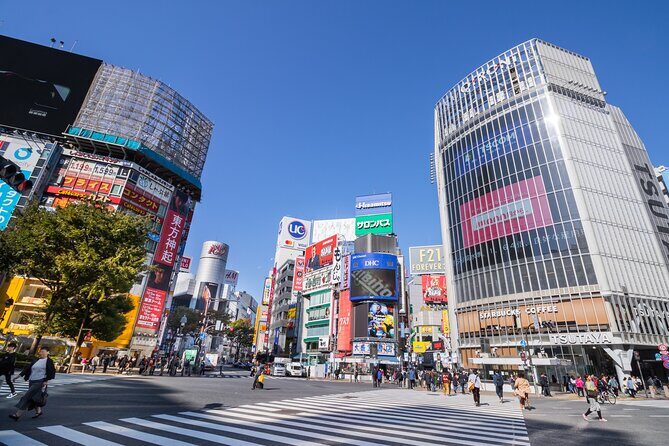 Tokyo 7hr Tour Licensed Guide & Vehicle: NRT Airport Drop Off - Who Will Love This Tour?