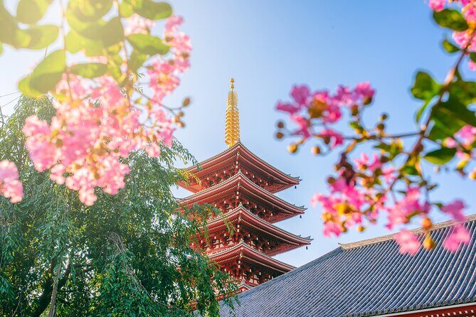 Tokyo 8 Hour Senso-ji & Tsukiji Outer Market & Ginza Private Tour - Key Points