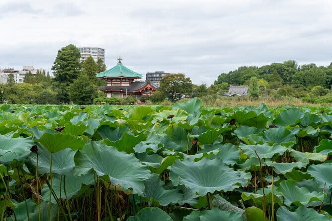 Tokyo: A Downtown Tour through Kanda, Ueno, and Asakusa - Who Is This Tour Best For?