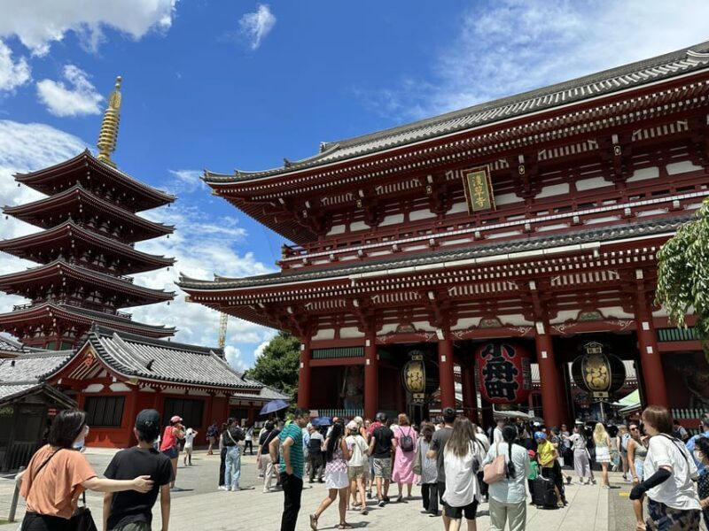 Tokyo: A Half-Day Trip Bus Tour in the Morning - A Detailed Look at the Tour Experience