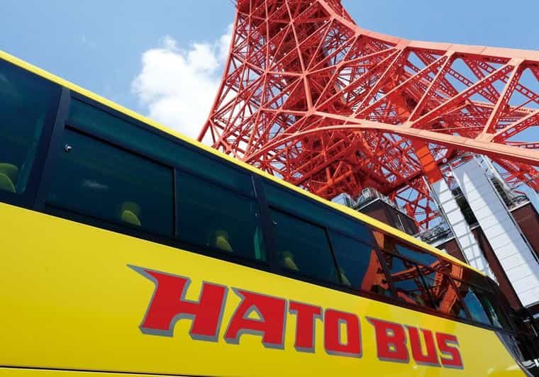 Tokyo: A Half-Day Trip Bus Tour in the Morning - The Sum Up: Who Should Book This Tour?