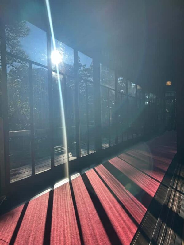 Tokyo: A Peek into the Old Town of Shibamata - Why This Tour Is Worth Considering