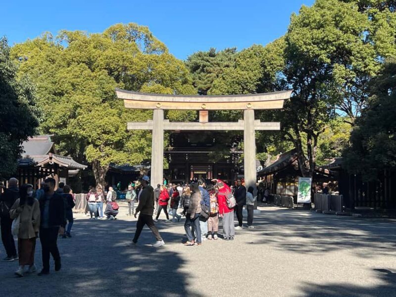 Tokyo: A Walking Tour with Challenges and Riddles - Practicalities and Tips