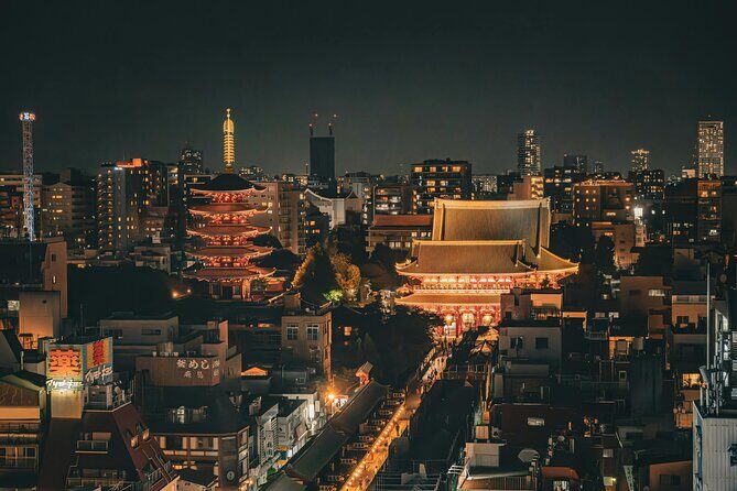 Tokyo After Dark Scenic Night Tour - The Sum Up: A Bright, Efficient Night in Tokyo