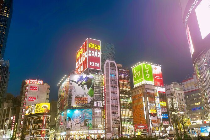 Tokyo After Dark Shinjuku Tour of Tradition and Pop Culture - The Sum Up