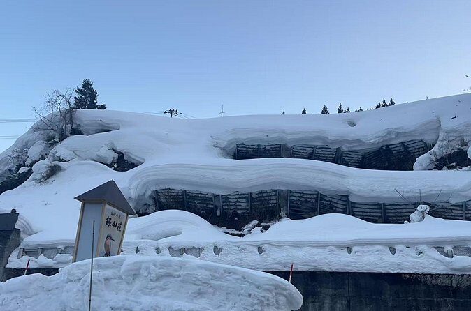 Tokyo Airport Nagano Transfer - Practical Tips for Your Transfer