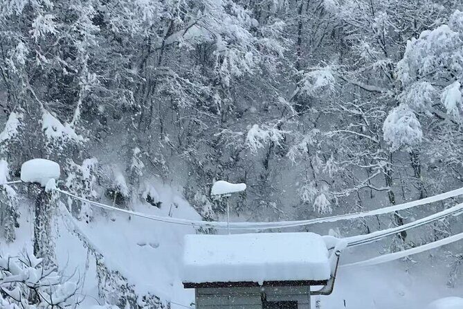 Tokyo Airport Nagano Transfer - FAQ