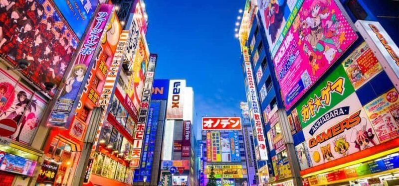 Tokyo: Akihabara Anime, Manga, and Games Walking Tour - Final Thoughts