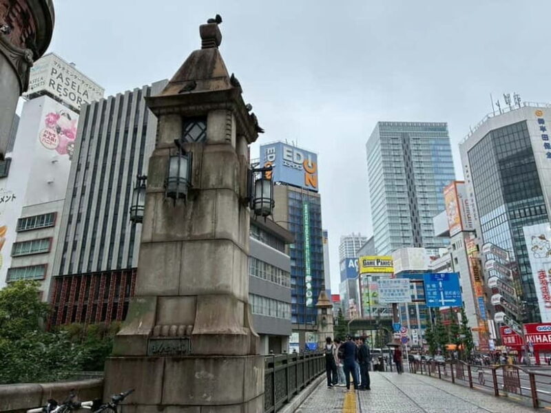 Tokyo: Akihabara Anime Tour with Maid Cafe Entry - Final Thoughts