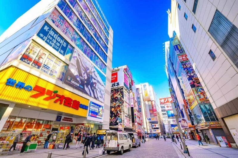 Tokyo Akihabara Anime walking tour & Maid Cafe option - Key Points