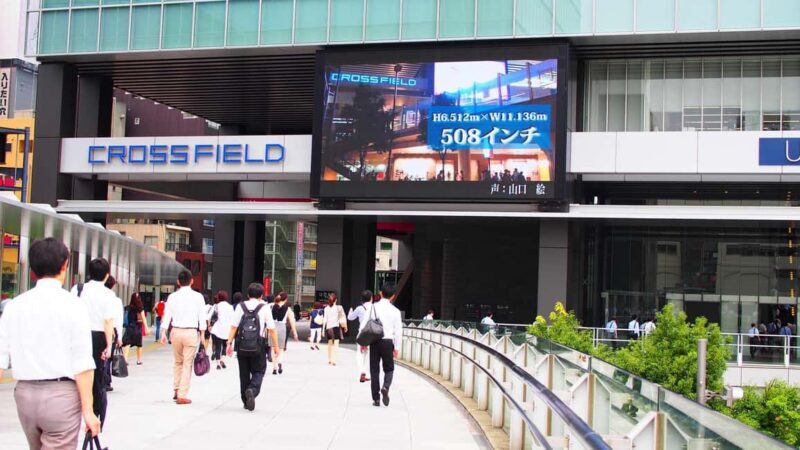 Tokyo Akihabara Anime walking tour & Maid Cafe option - A Dive into Akihabara: Japan’s Otaku Capital