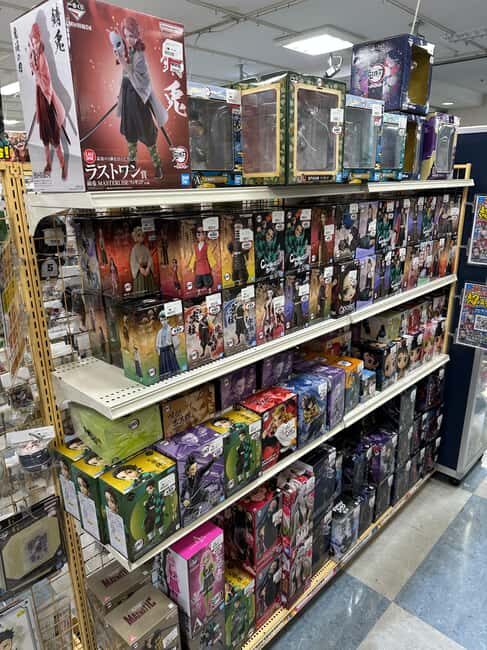 Tokyo Akihabara Anime walking tour & Maid Cafe option - Who Will Love This Tour?