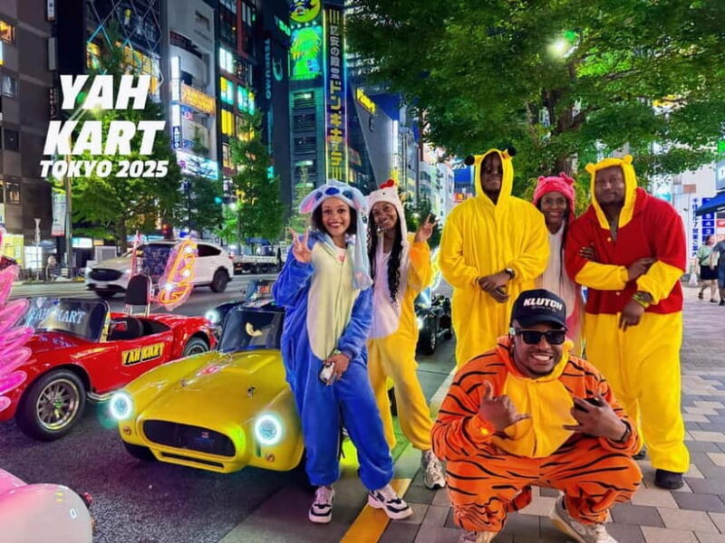 Tokyo: Akihabara/Asakusa Go-Karting Tour (including guide) - Key Points