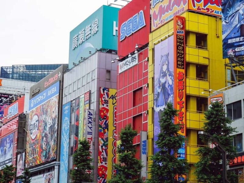Tokyo: Akihabara Game Culture Tour with Guide - Frequently Asked Questions