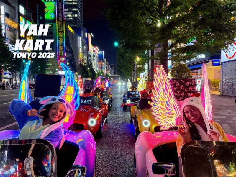 Tokyo: Akihabara Go-Karting Experience (including guide) - An Authentic and Playful Way to Tour Tokyo