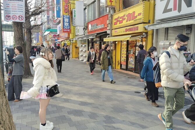 Tokyo: Akihabara Otaku Tour - 1.5h Guided Shopping - Diving Deep into the Akihabara Otaku Tour