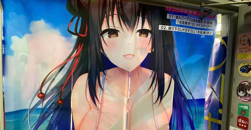 Tokyo: Akihabara Private Hentai Tour - Practical Tips for Visitors