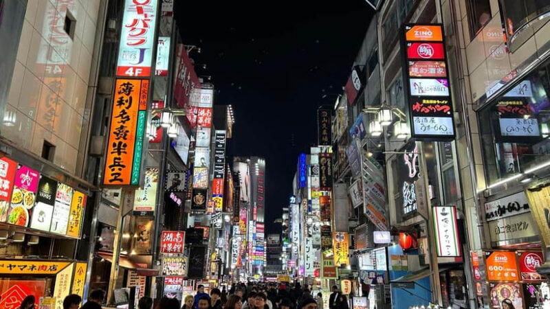 Tokyo: Akihabara, Shibuya, Karaoke & City Lights Night Tour - Discovering Tokyo’s Nightlife: An Overview