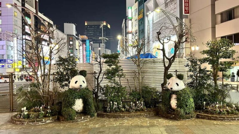 Tokyo: Akihabara, Shibuya, Karaoke & City Lights Night Tour - Detailed Itinerary Breakdown