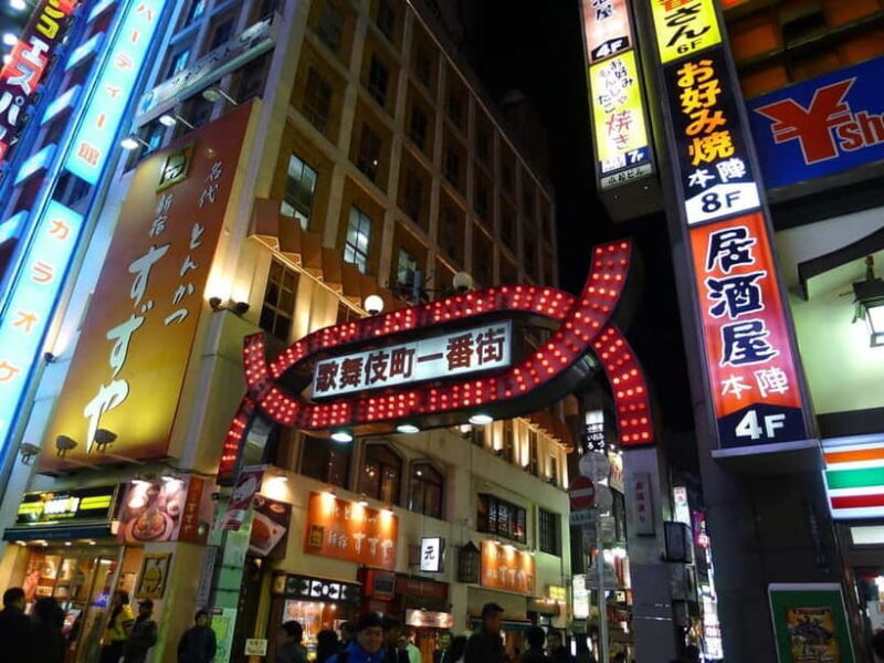 Tokyo: Akihabara, Shibuya, Karaoke & City Lights Night Tour - Practical Tips for Participants