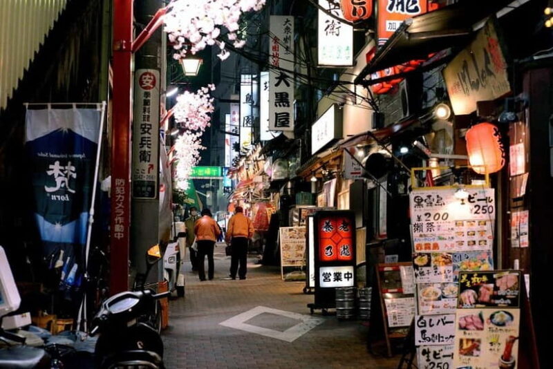 Tokyo: Akihabara, Shibuya, Karaoke & City Lights Night Tour - The Sum Up