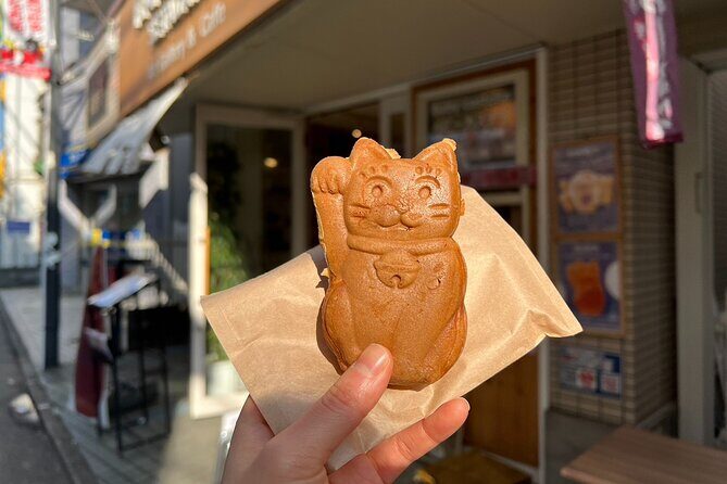 Tokyo: An Unique temple Walking Tour for cat lovers - What to Expect from the Tour