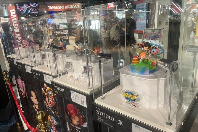 Tokyo Anime and Game Shopping Tour in Ikebukuro - The Sum Up