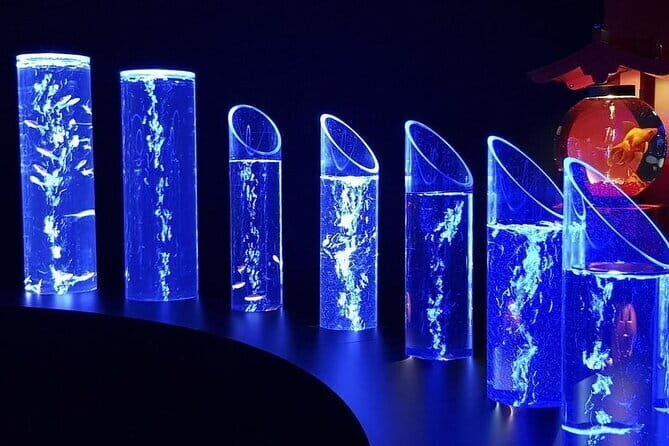 Tokyo Art Aquarium Museum E-Ticket with optional Tokyo Metro Pass - Frequently Asked Questions