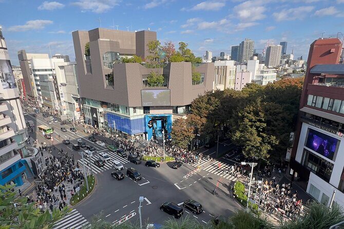 Tokyo Art Half Day Tour in Harajuku and Shibuya - Who Should Consider This Tour?